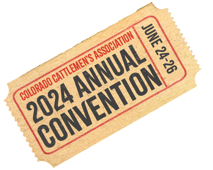 Annual Convention